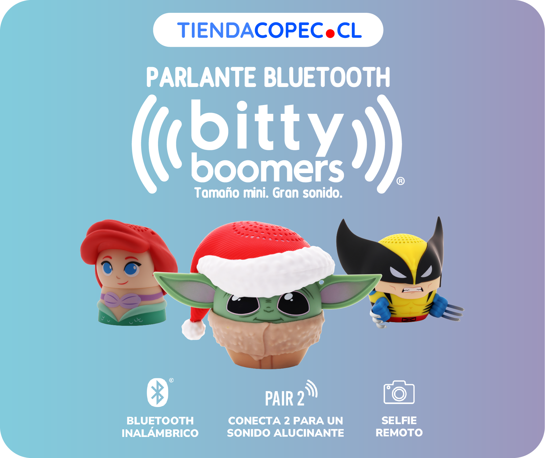 Bitty Boomers – Tienda Copec